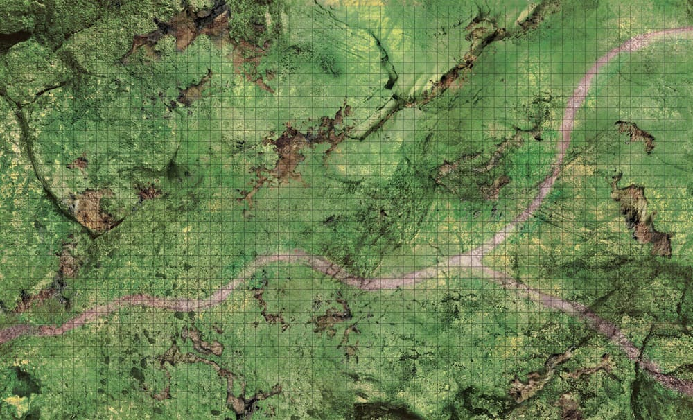 D&D Icons of the Realms: Plains Battle Mat | Roleplaying Mats ...