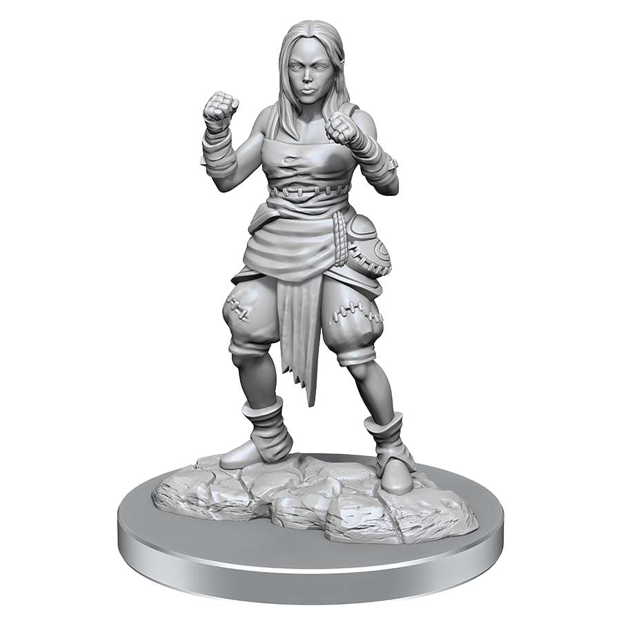 Pathfinder Deep Cuts Unpainted Miniatures: Half-Elf Monk Female ...